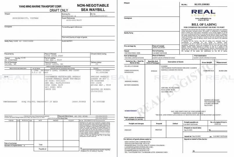 22 Important Things You Must Know When Reading a Bill of Lading (Ocean ...