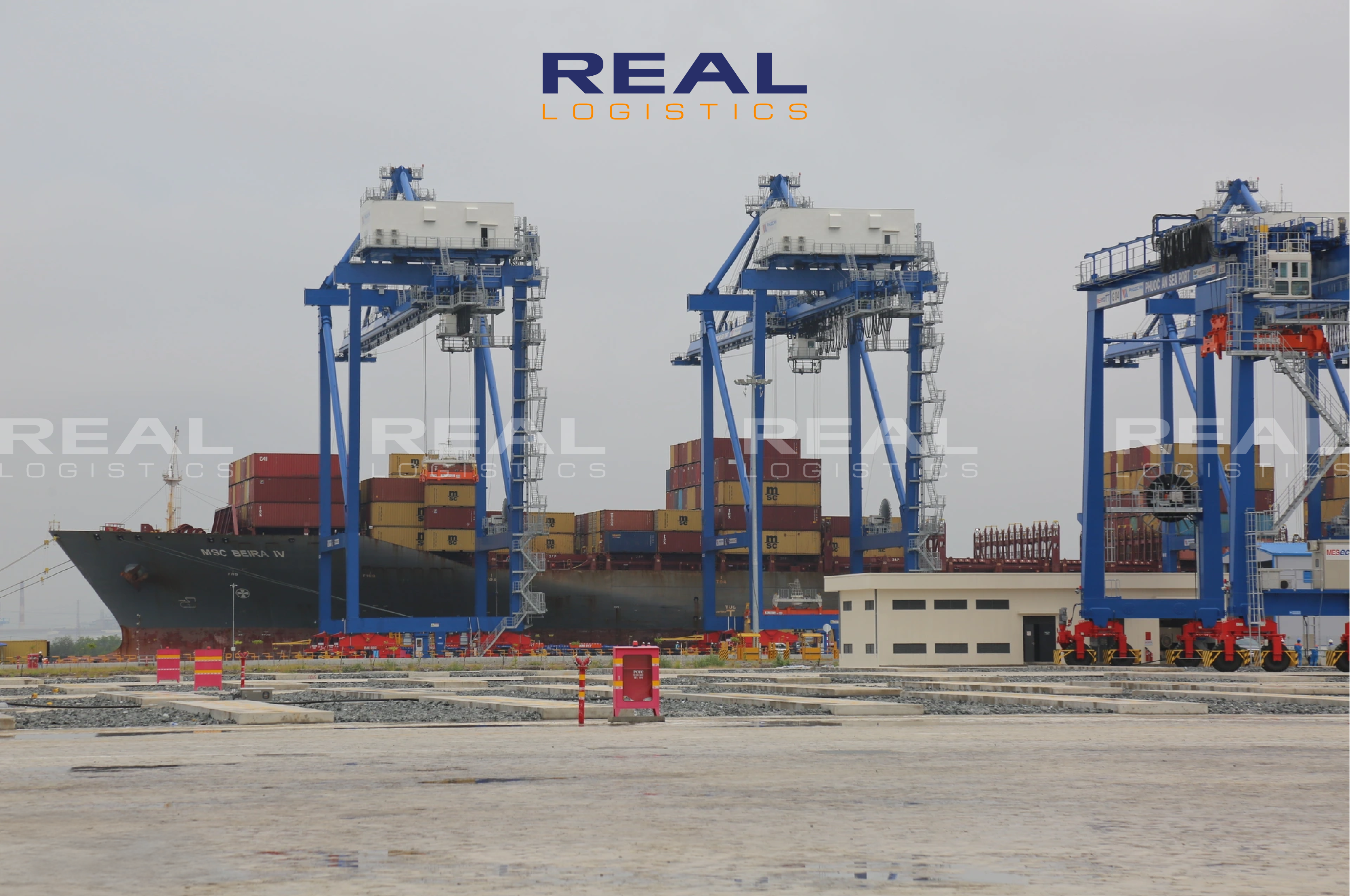 Cảng Phước An Chào Đón Tàu MSC - Chuyến Tàu Quốc Tế Đầu Tiên Cập Cảng