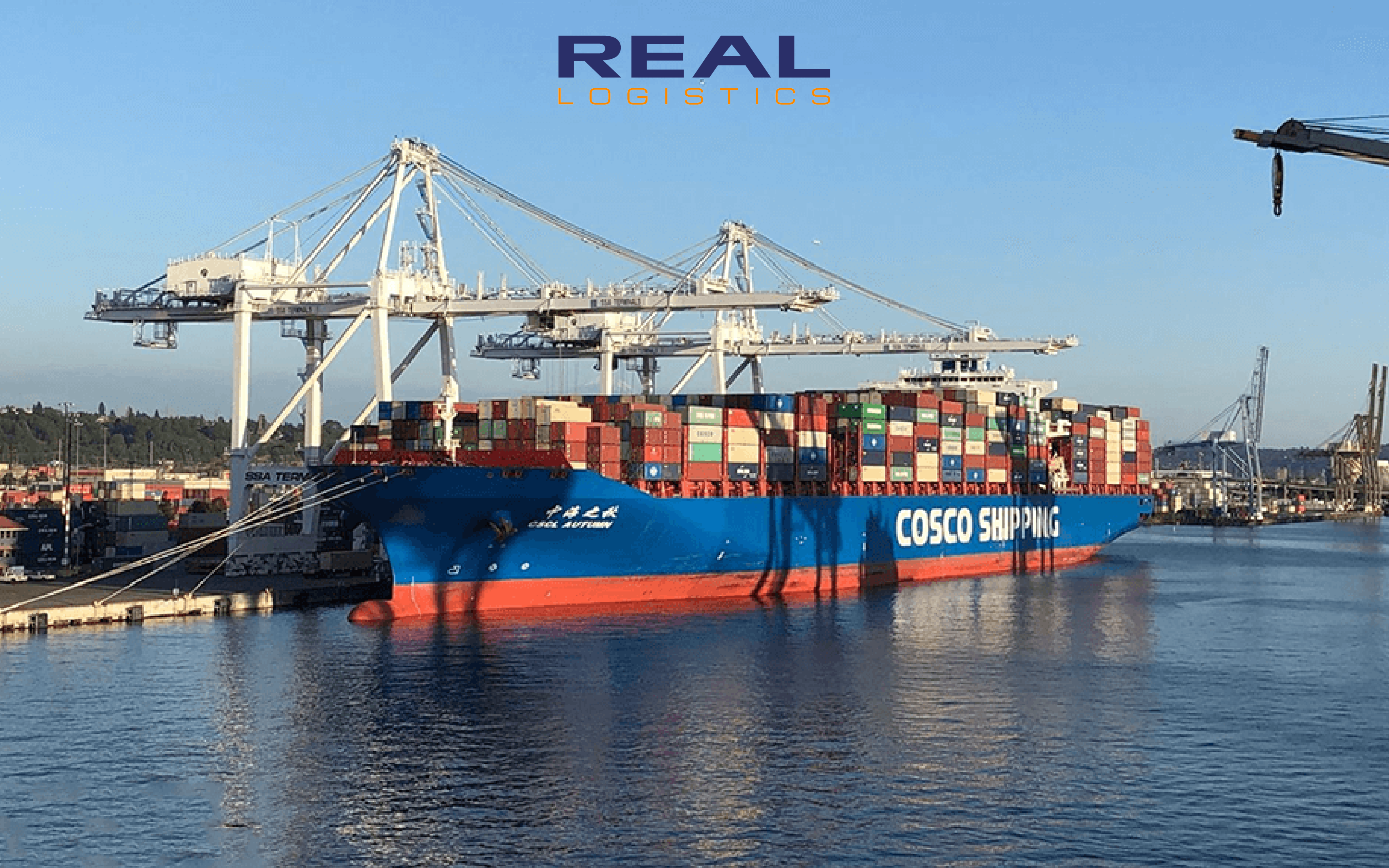 Cosco Bị Đưa Vào Danh Sách Đen Tại Mỹ: Ảnh Hưởng Đến Thị Trường Logistics?